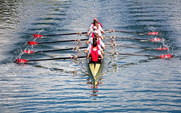 Kajakfahren vs Rudern: Die 5 größten Unterschiede